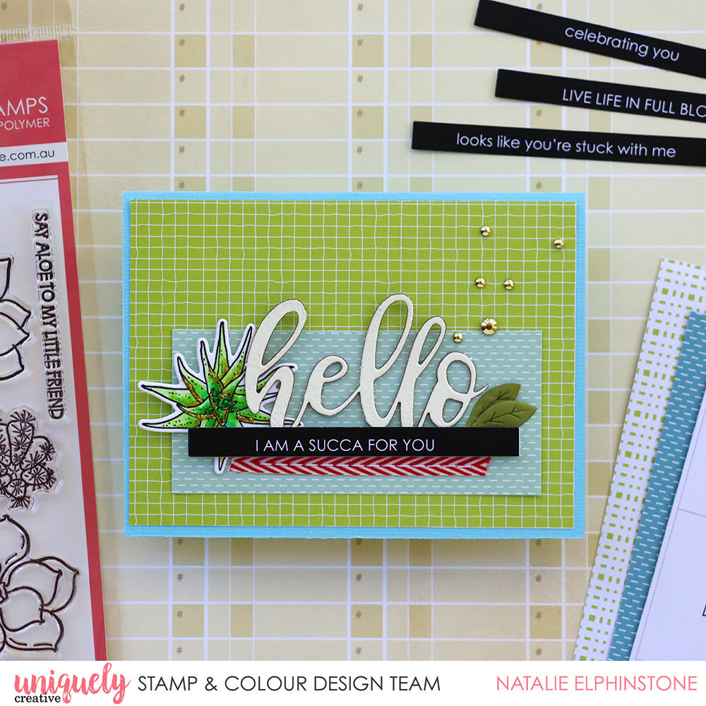 Hello Succa Card - Natalie Elphinstone - Uniquely Creative