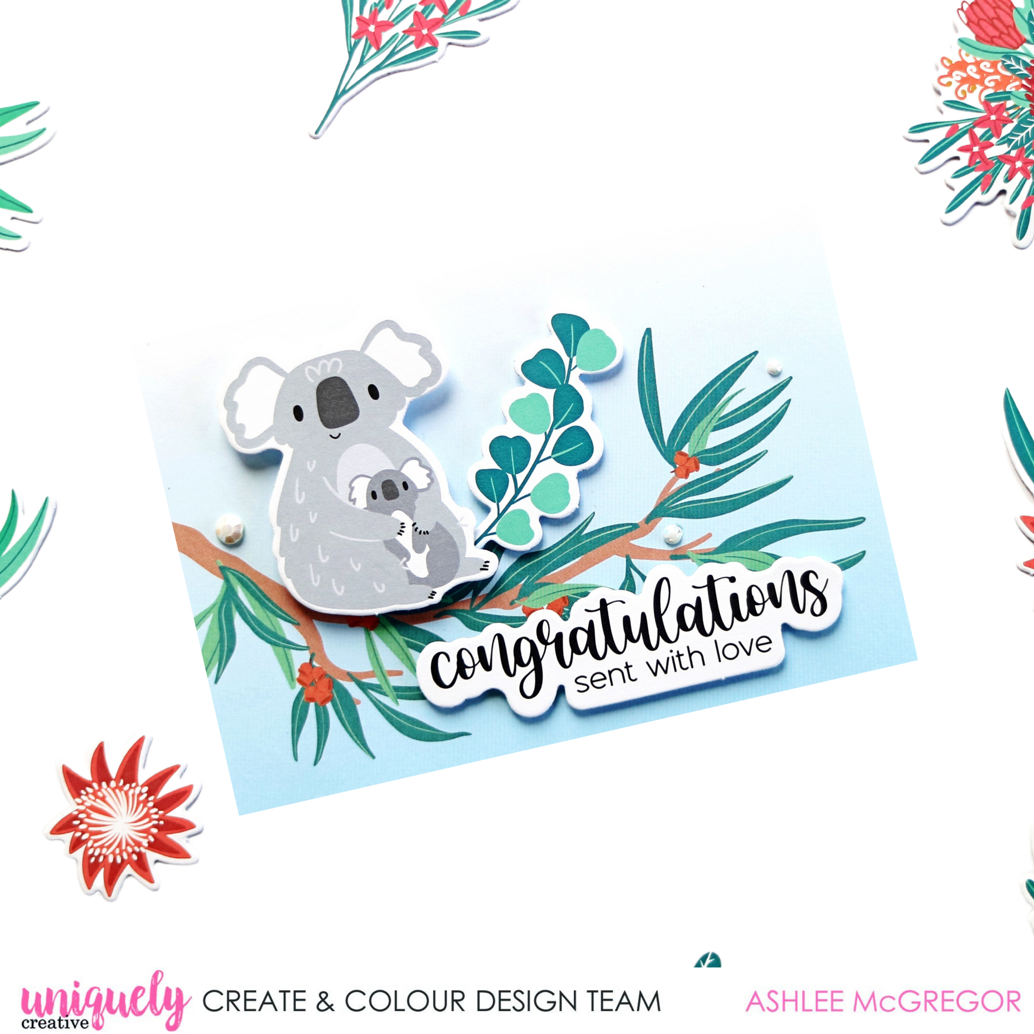 Koala Congratulations - Ashlee McGregor - Uniquely Creative
