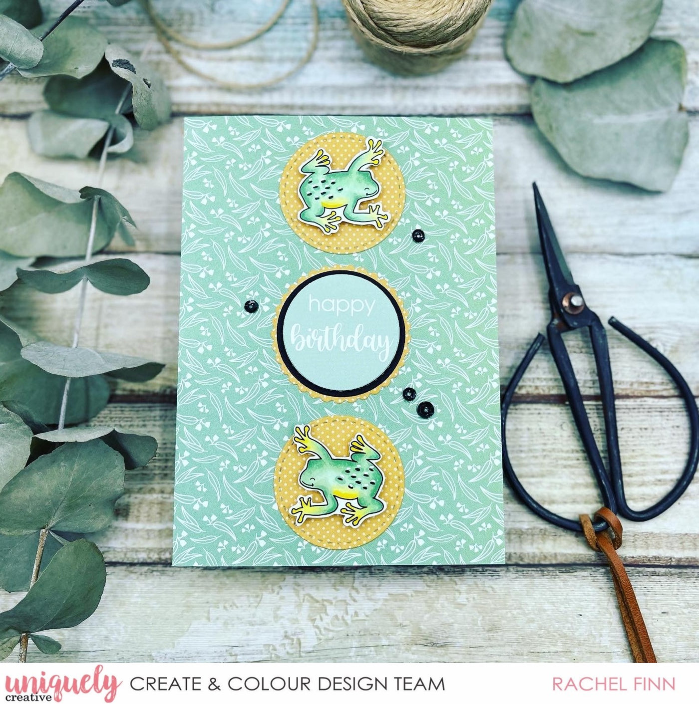 Lilypad Birthday - Rachel Finn - Uniquely Creative