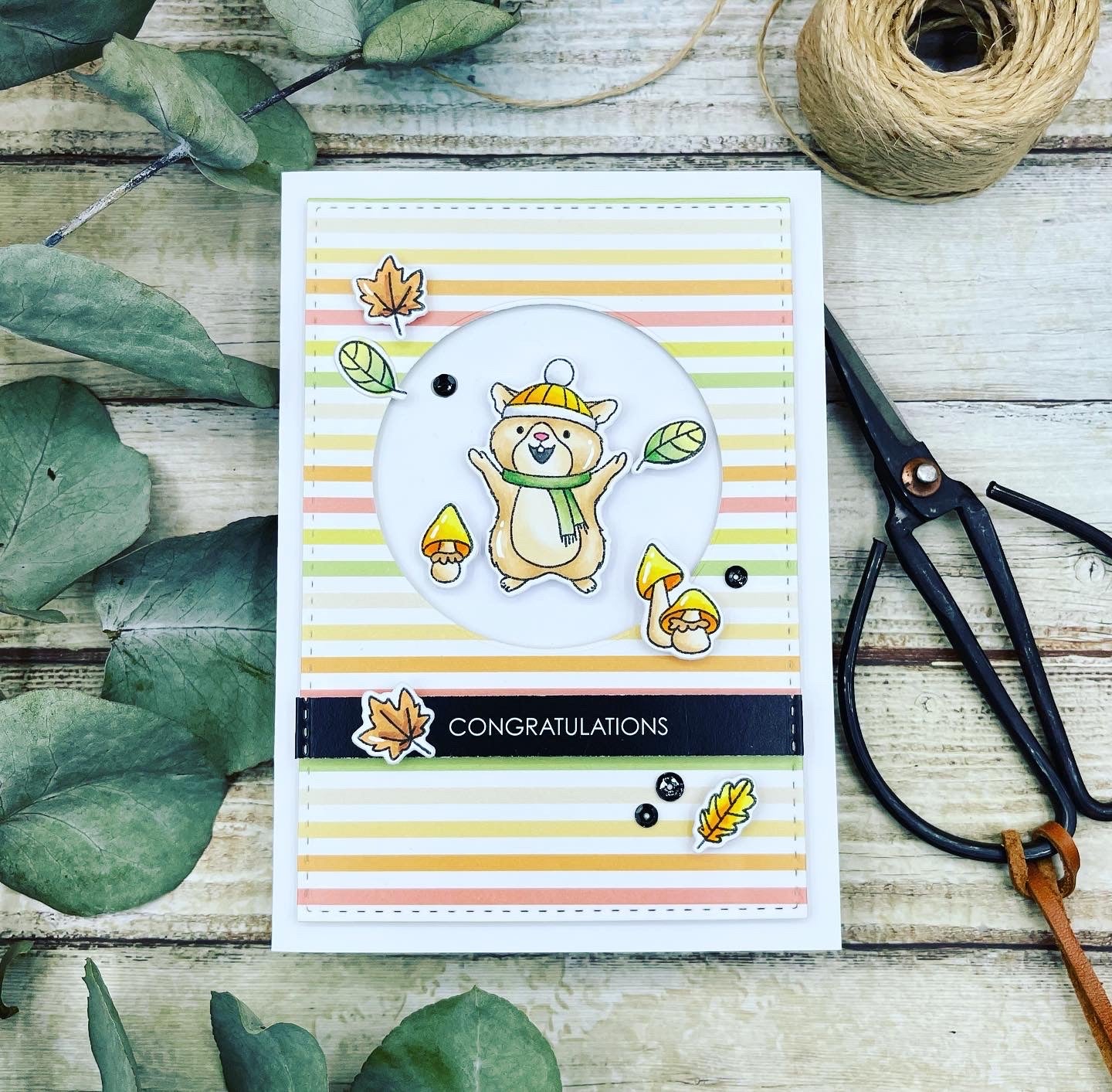 Congratulations Tutorial - Rachel Finn - Uniquely Creative